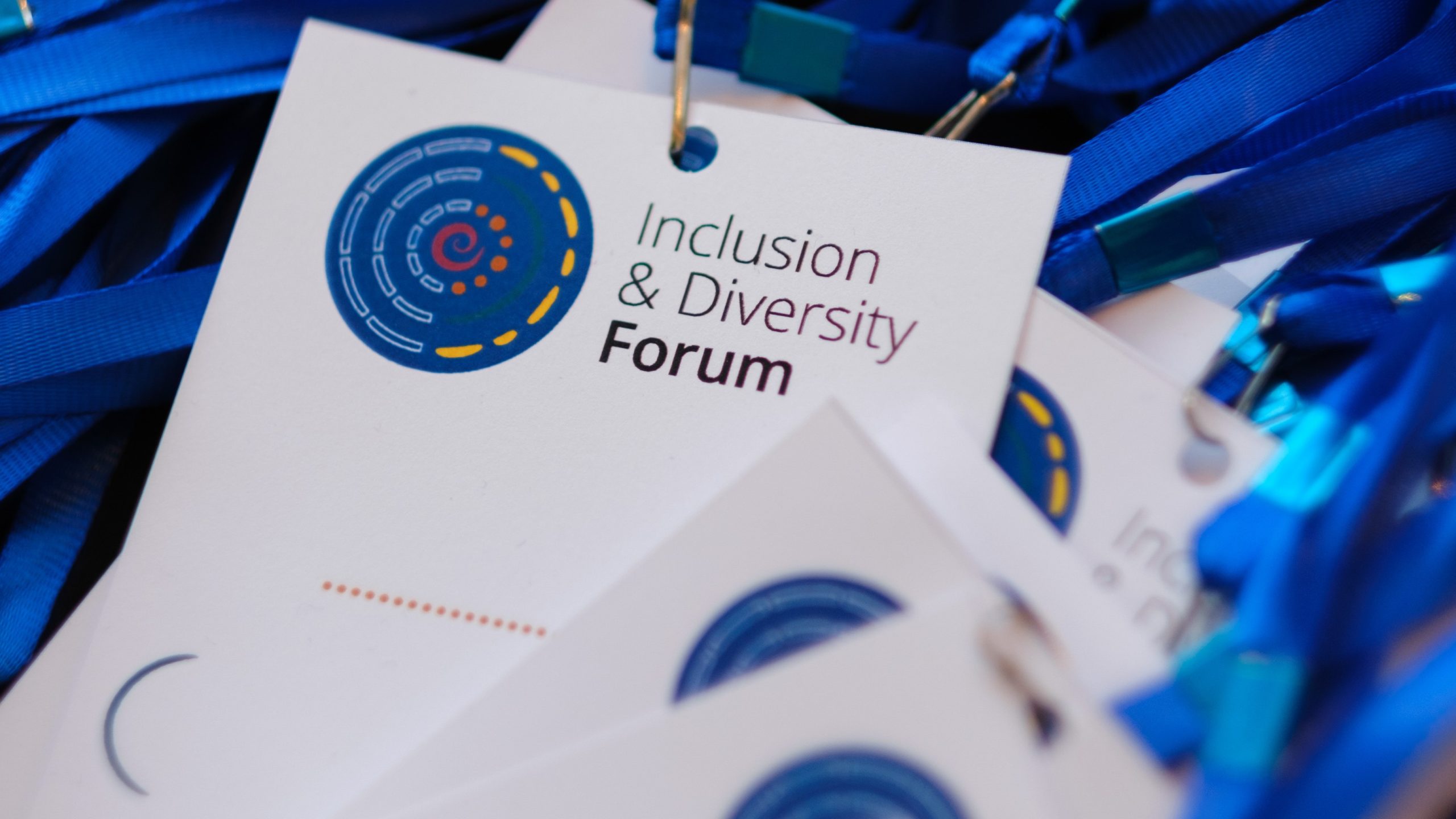 Inclusion and Diversity Forum in Bucharest - SALTO Inclusion Education